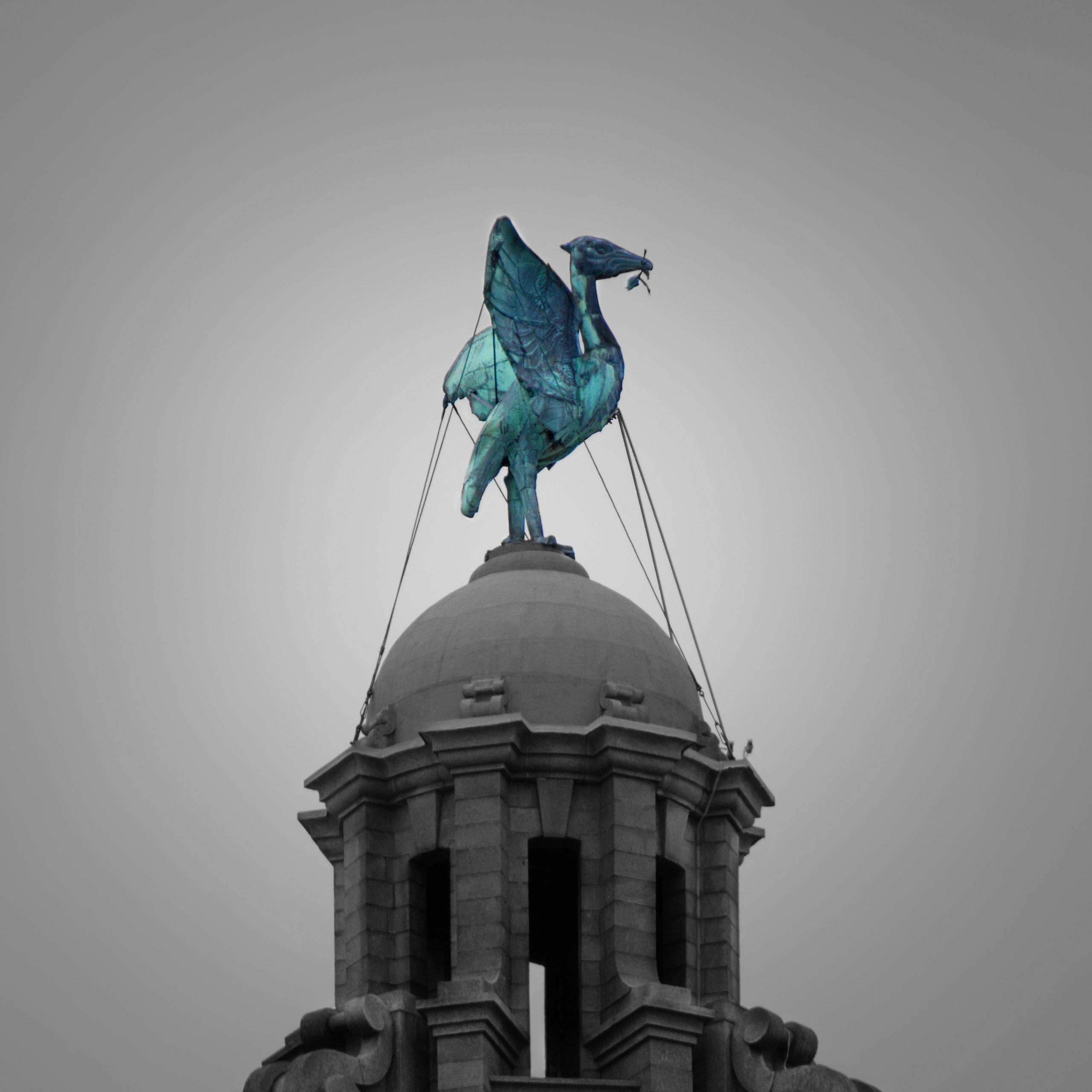 Liver bird in Piercing Blue - Neon Light Photography